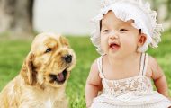 10 Best Guard Dogs for Kids – Friendly but Protective Breeds!