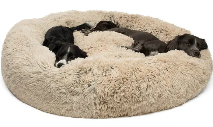 5 Washable Dog Beds for Large Dogs – Skip the Hassle!