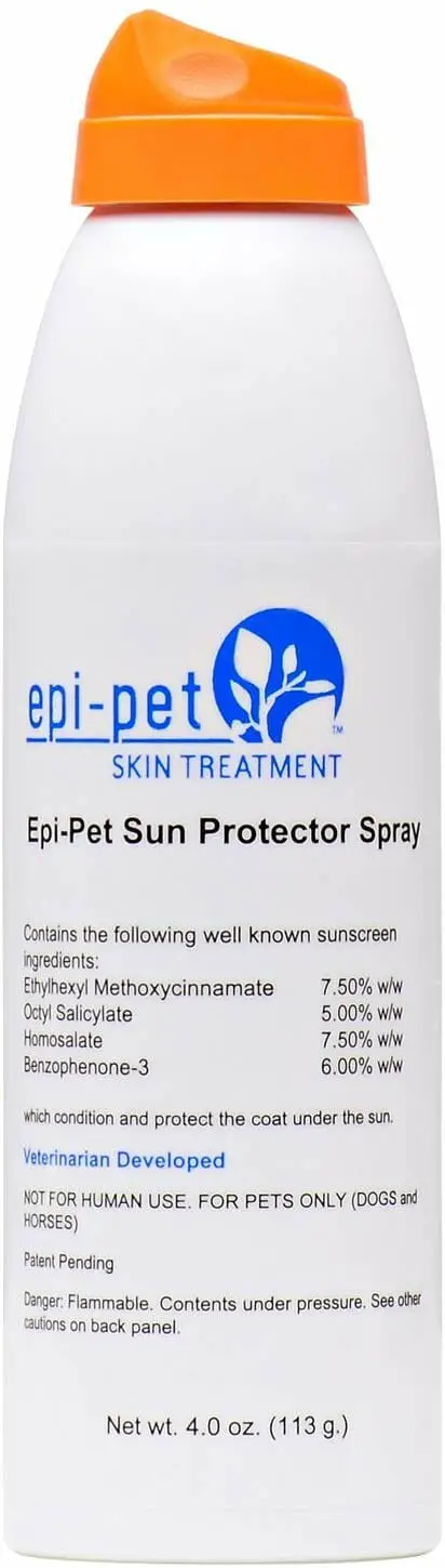 What Sunscreen is Safe for Dogs? Check Our 3 Best Finds!