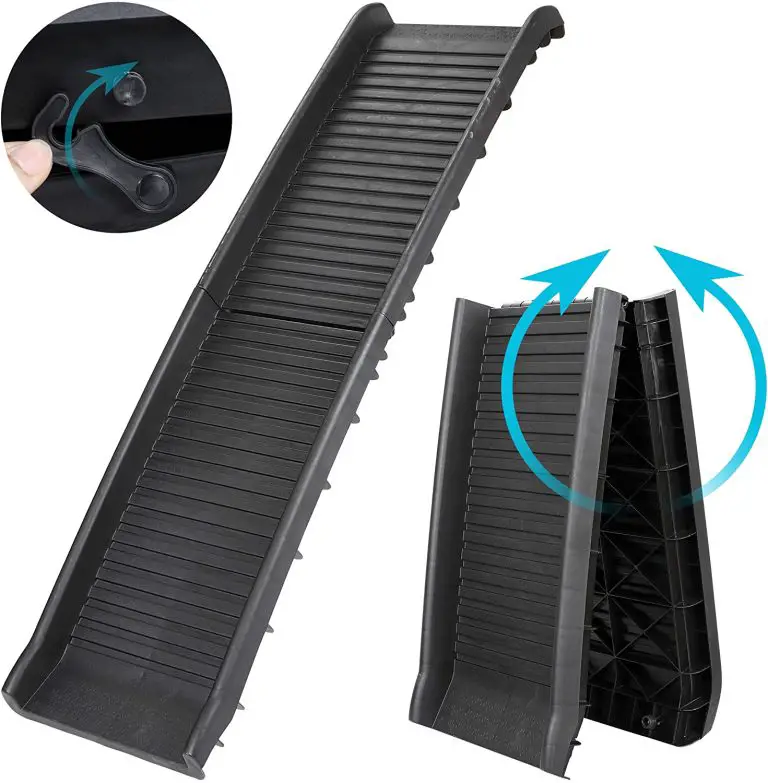 Top 5 Best Dog Ramps for Older Dogs and Buying Guide - Best Protection Dogs