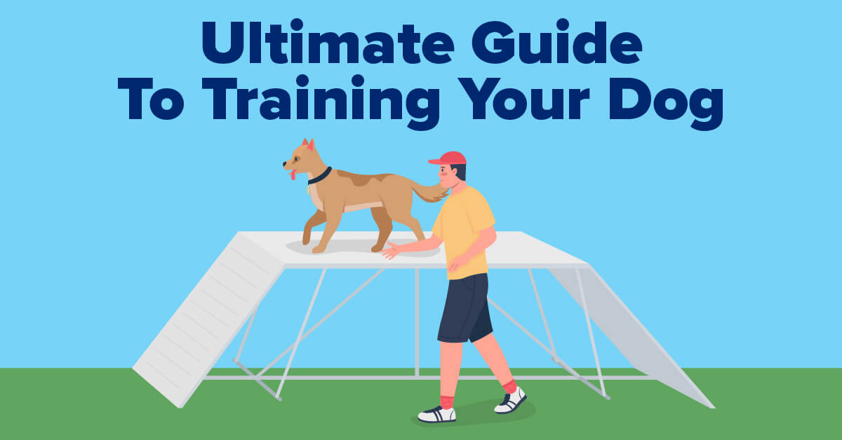 Ultimate Guide To Training Your Dog - Best Protection Dogs
