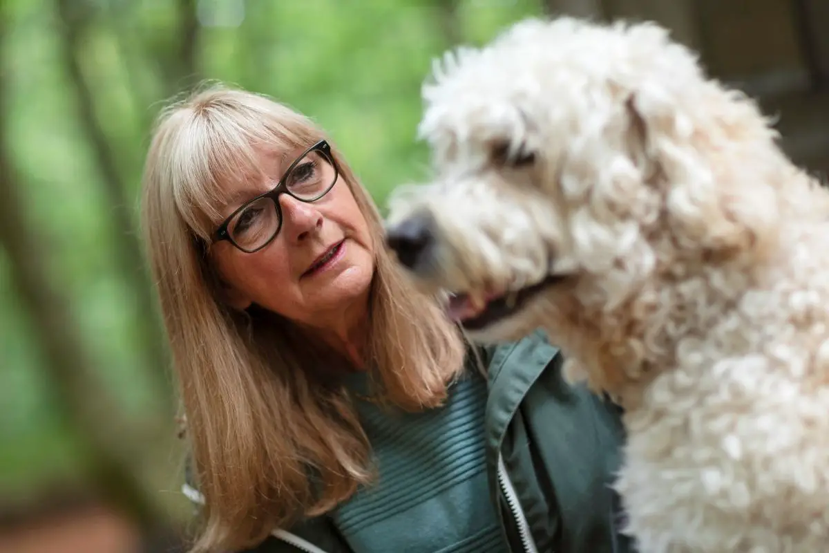 What Does It Mean When A Dog Sighs? - Best Protection Dogs